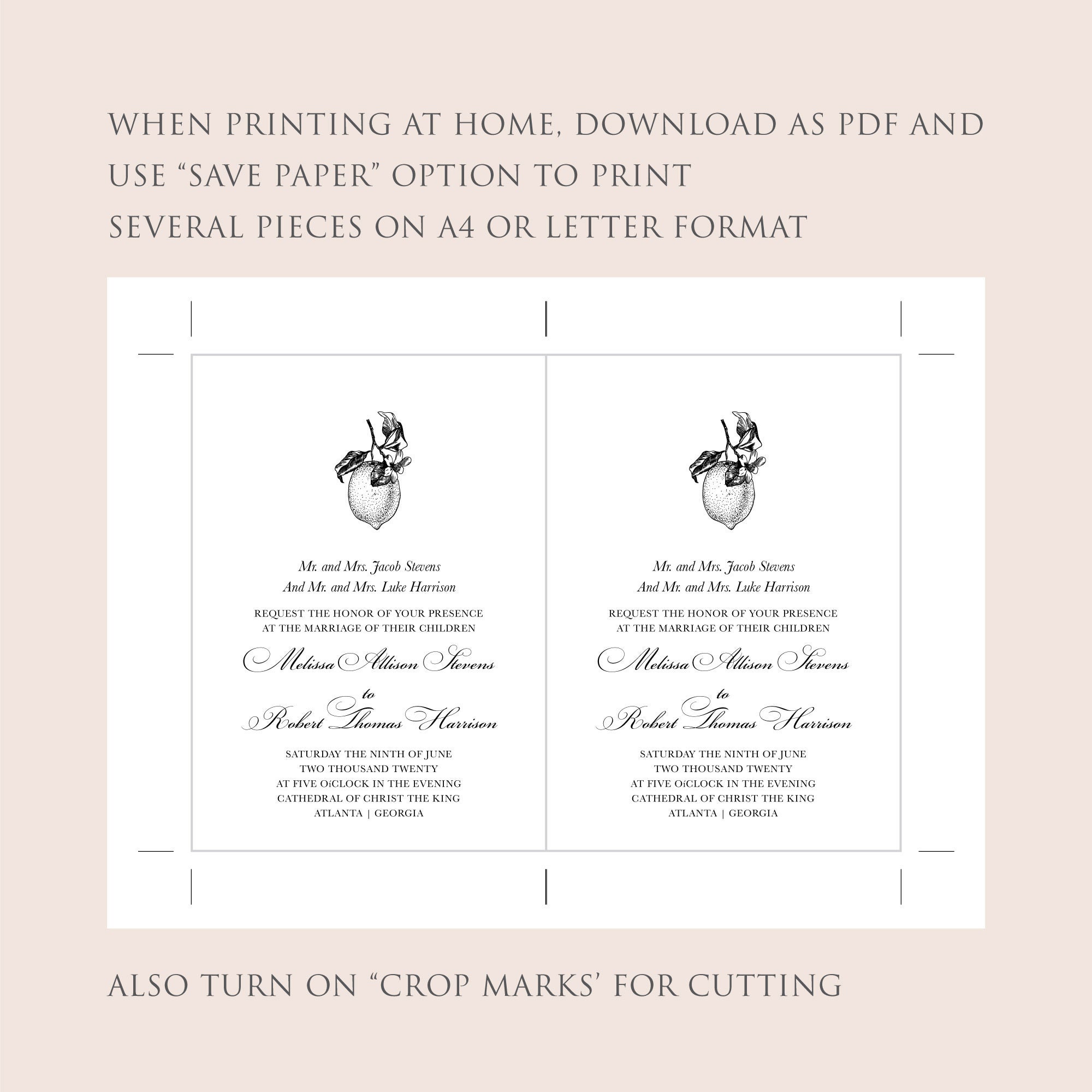 Editable Quinceanera Program Template - Encre Studio